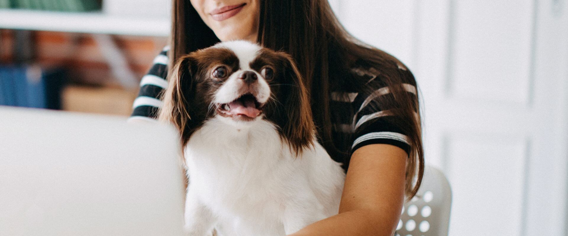 Virtual Vet Nationwide | Virtual Veterinary Behavior Medicine